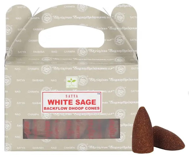 Backflow Drop Cones – Lumbini's Garden